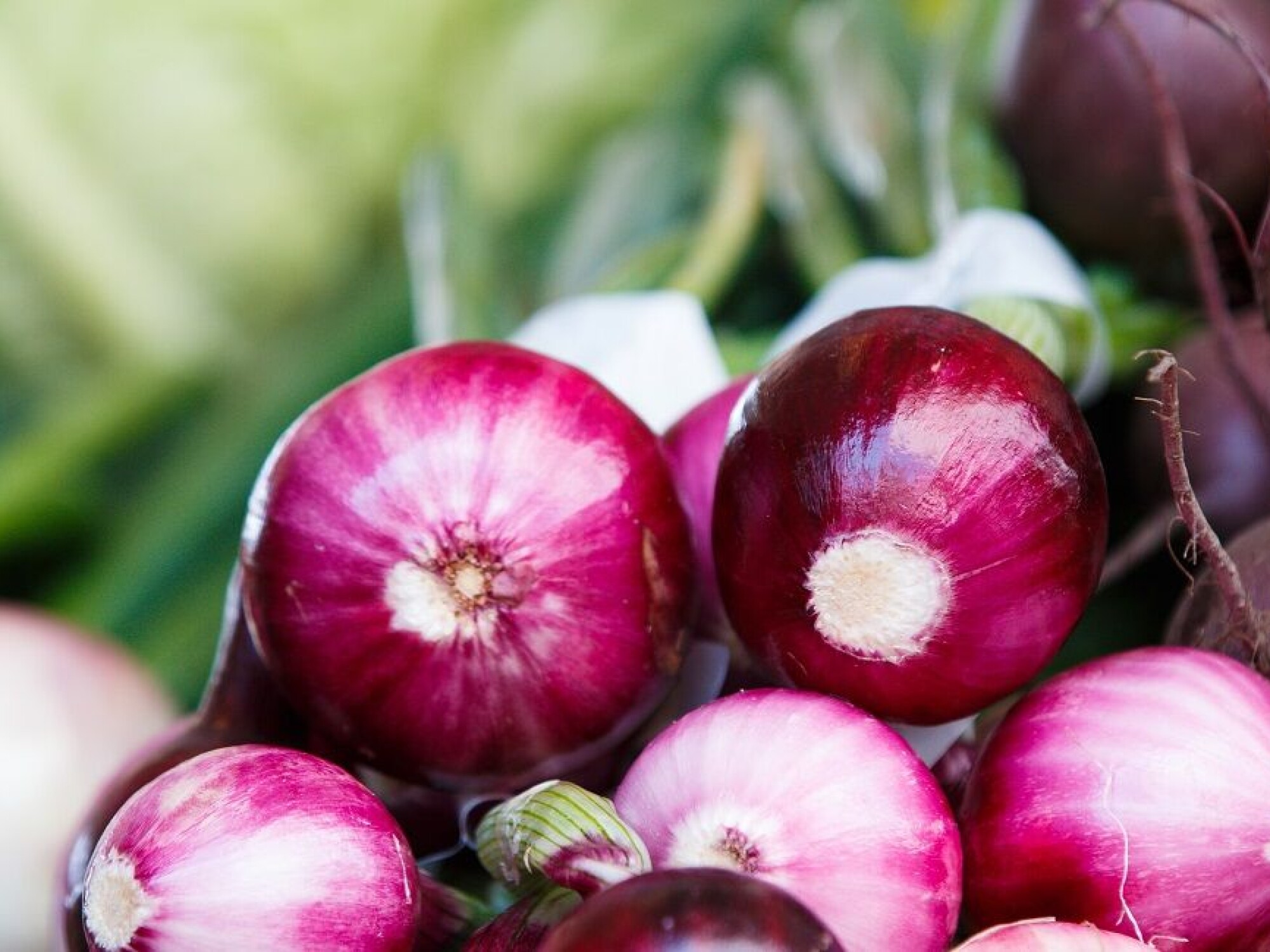 Norske grønnsaker på sitt aller beste